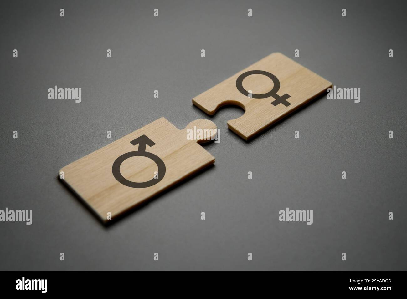 Two wooden puzzle pieces with a male symbol and a female symbol ...