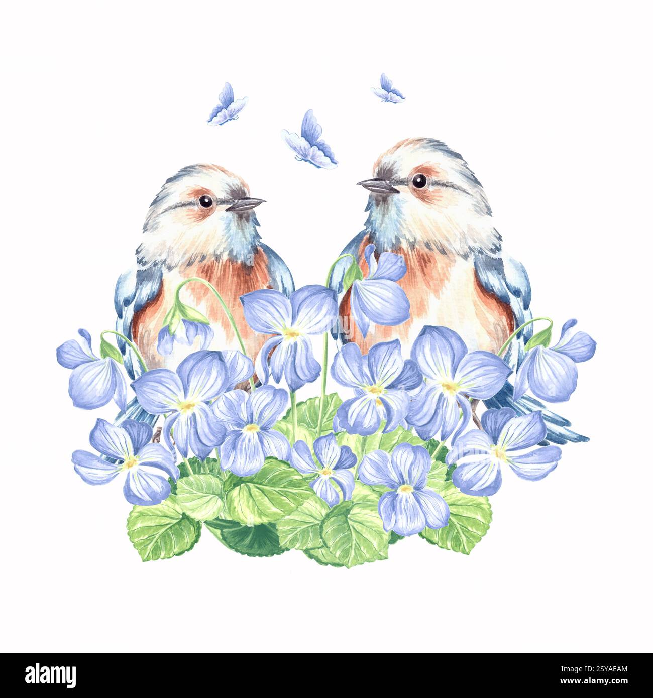 Small songbirds and violet flowers bouquet with butterflies blue ...