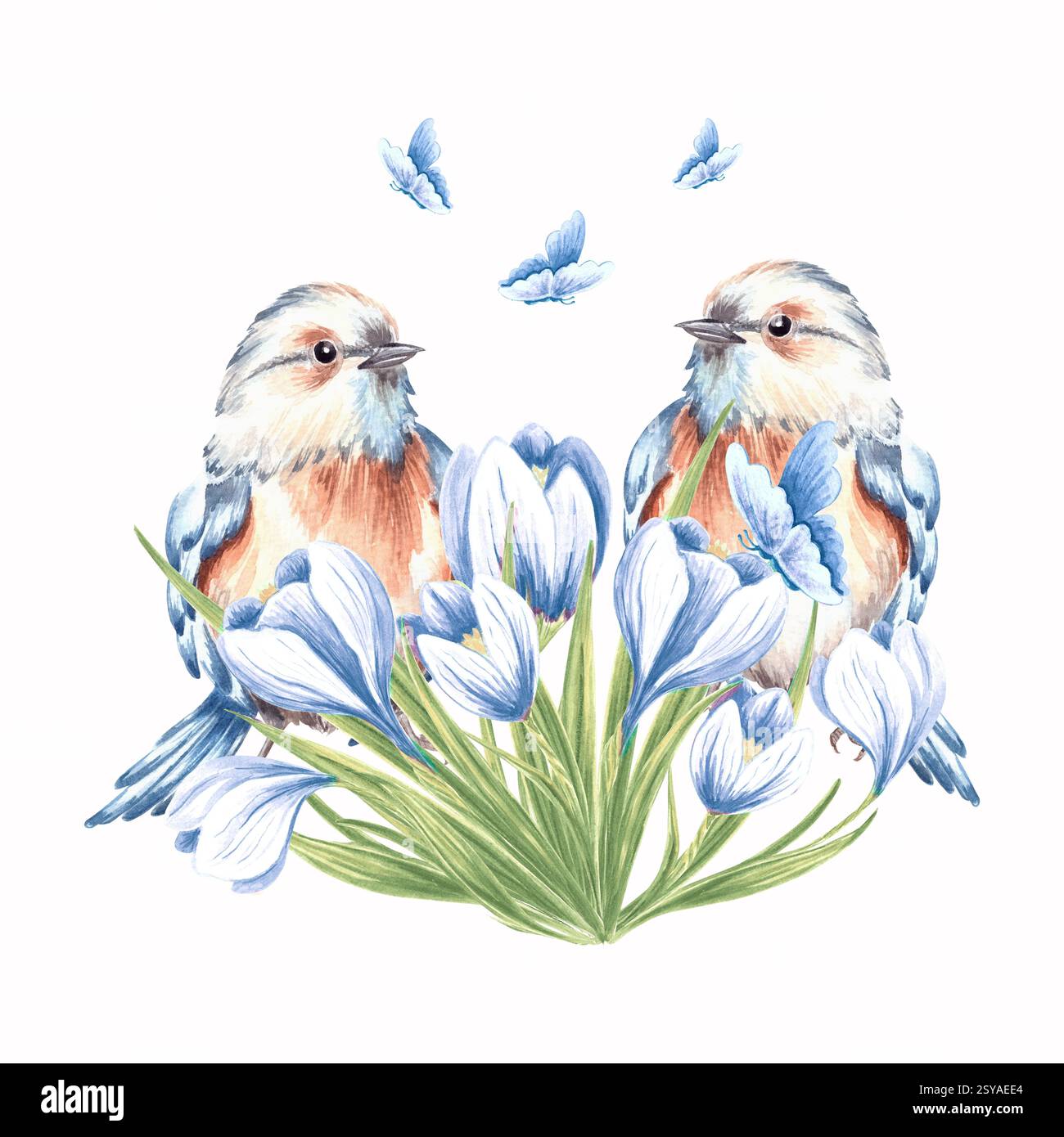 Small songbirds and crocuses bouquet with butterflies blue. Eastern ...