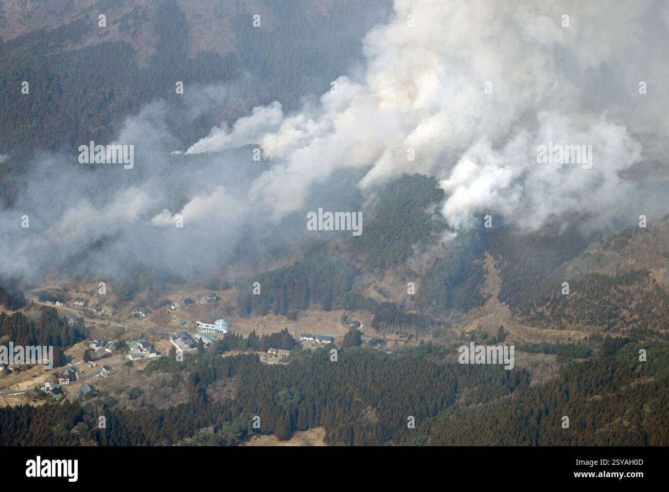 Photo taken from a Kyodo News airplane on Feb. 28, 2025, shows a forest ...
