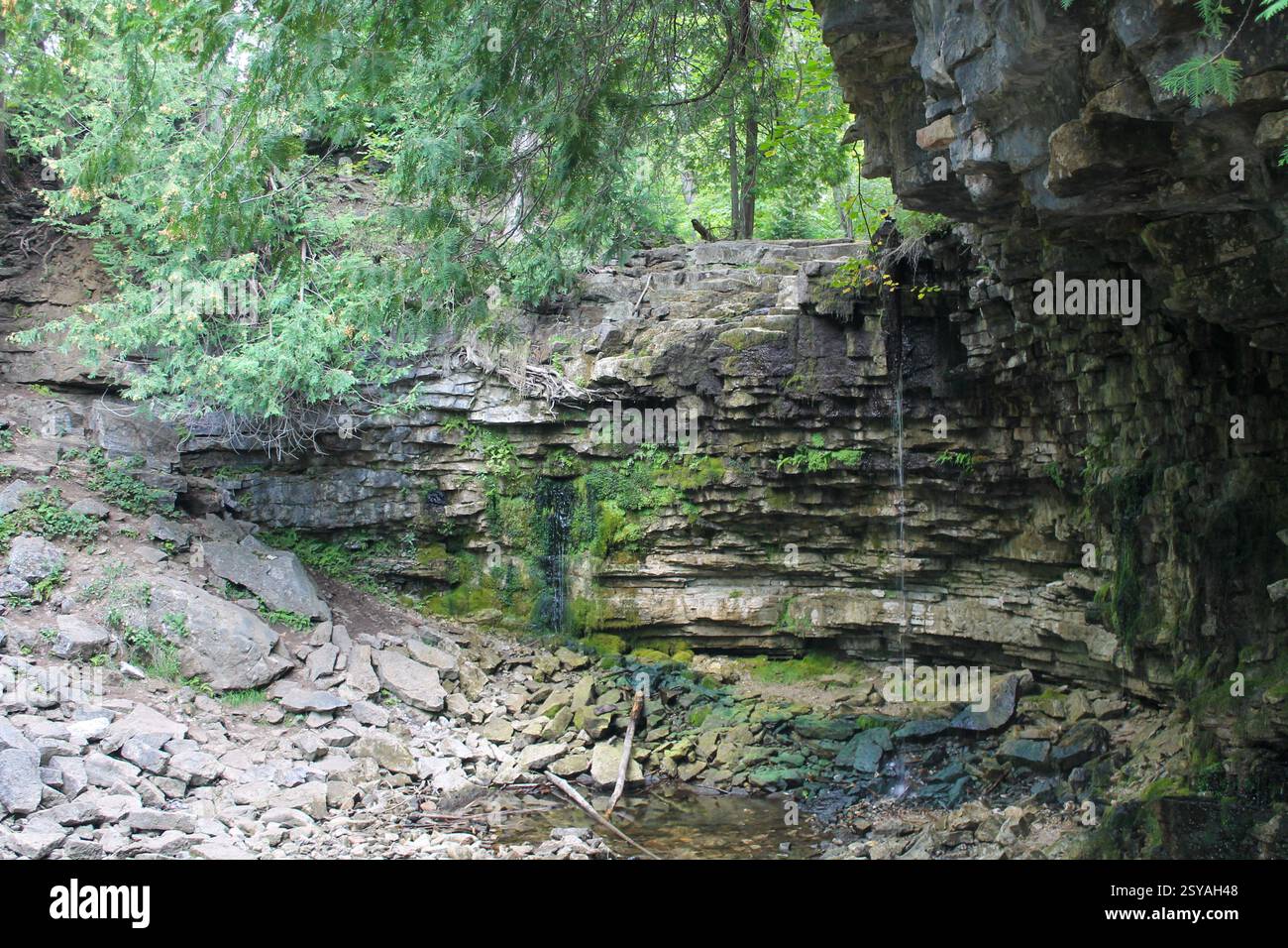 Hilton Falls cliff face showing layered limestone rock formation with ...