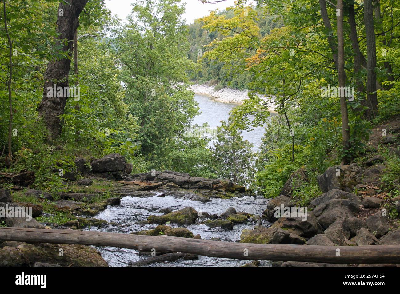 Hilton Falls Conservation Area stream flowing over rocky terrain with a ...