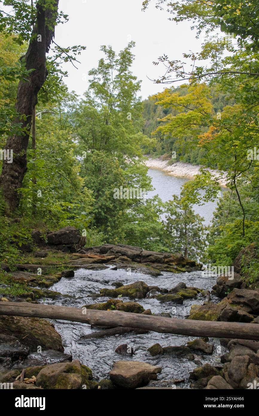 Hilton Falls Conservation Area stream flowing over rocky terrain with a ...
