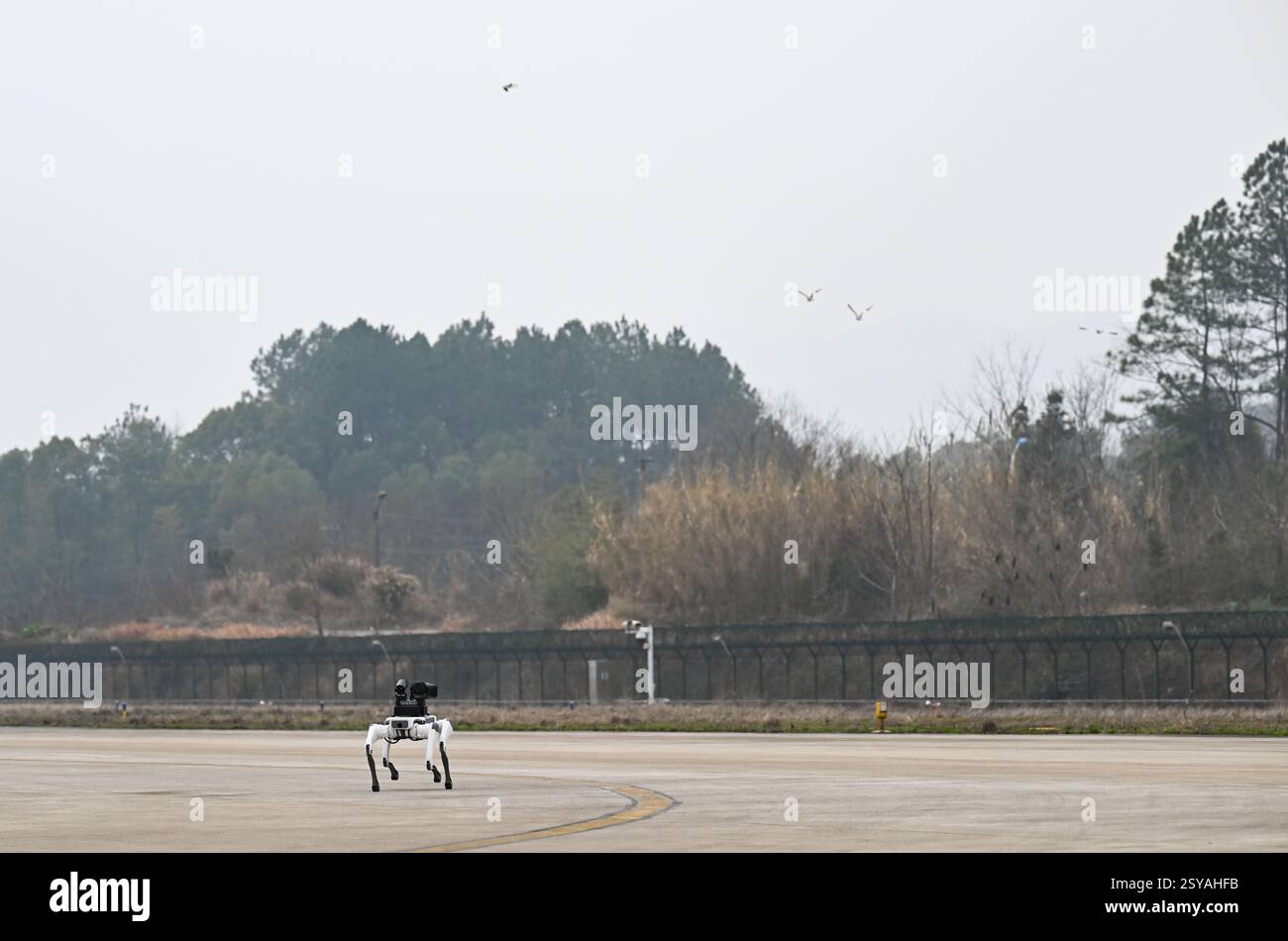 **CHINESE MAINLAND, HONG KONG, MACAU AND TAIWAN OUT** A quadruped robot ...