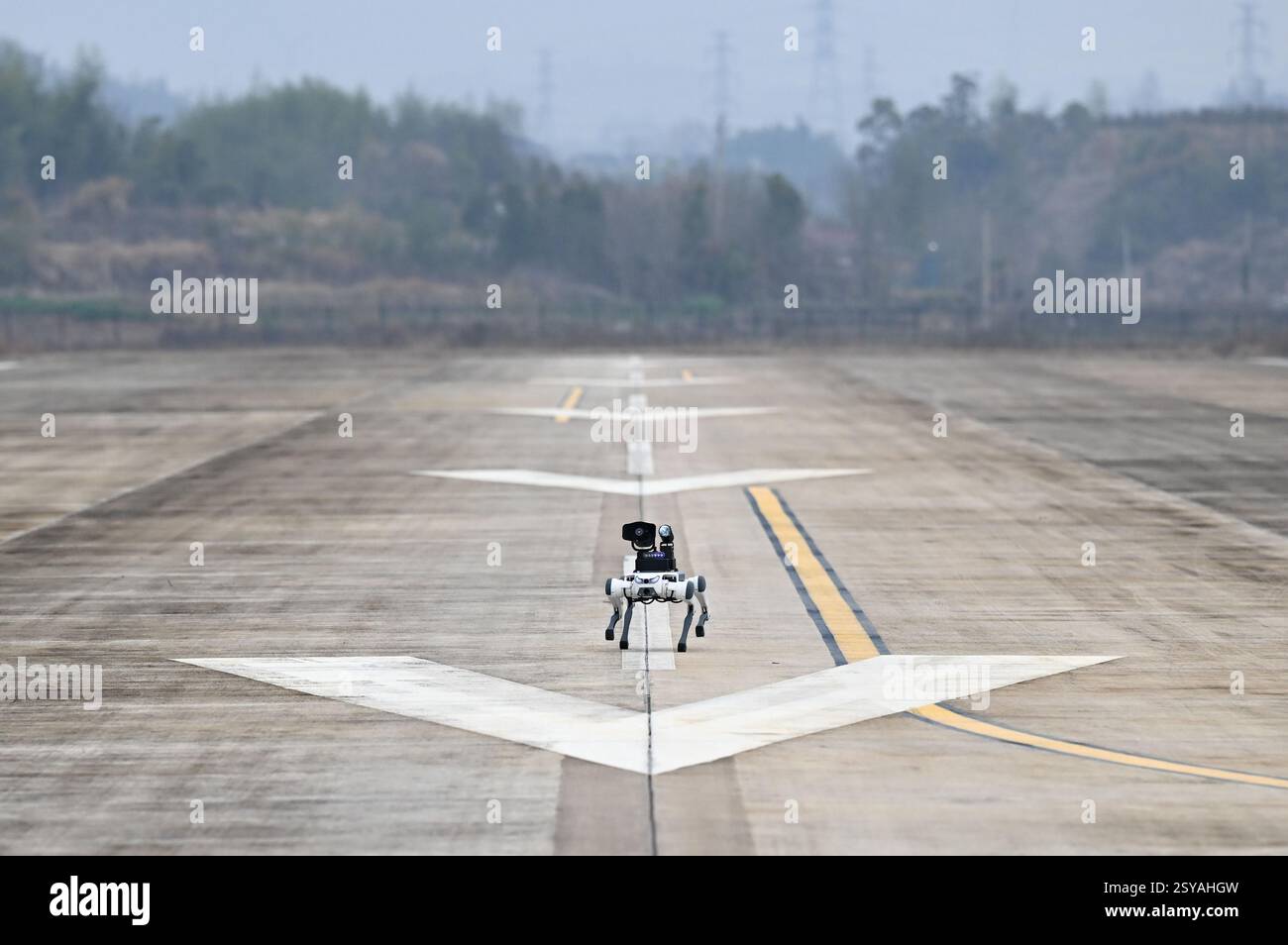 **CHINESE MAINLAND, HONG KONG, MACAU AND TAIWAN OUT** A quadruped robot ...