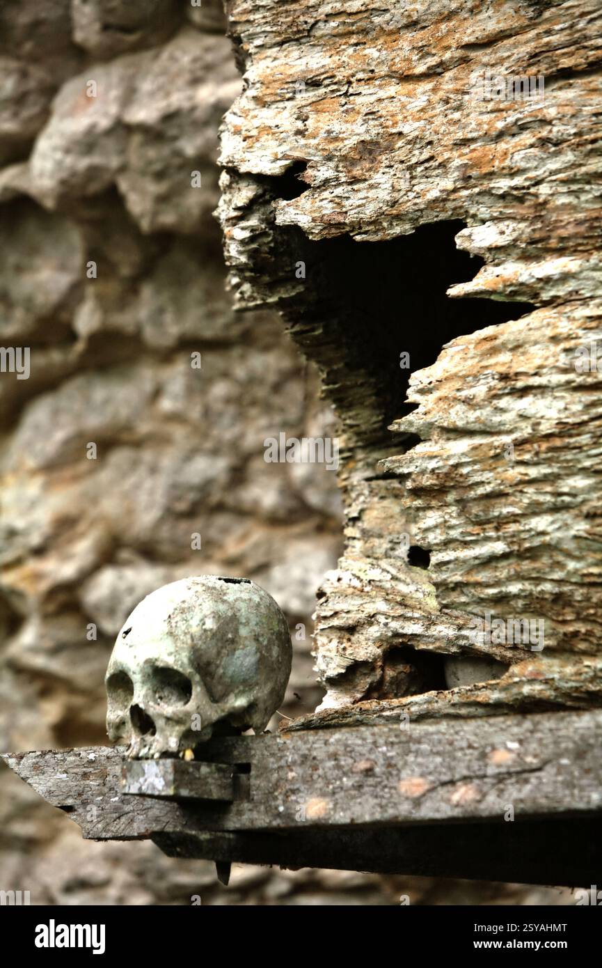 Human skull at traditional burial site in Kete Kesu village, Tana ...