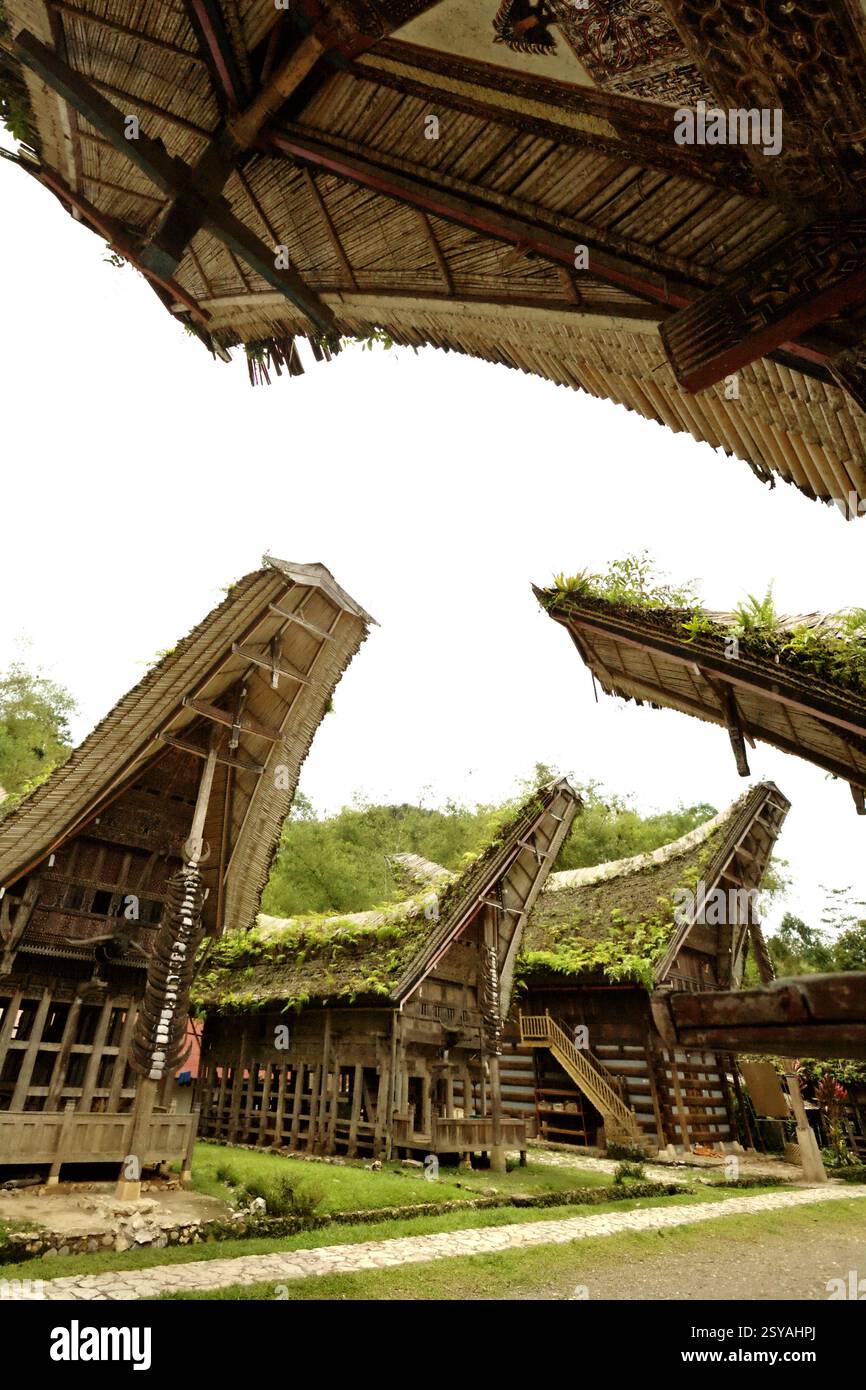 Rice barns in traditional tongkonan architecture in Kete Kesu village ...