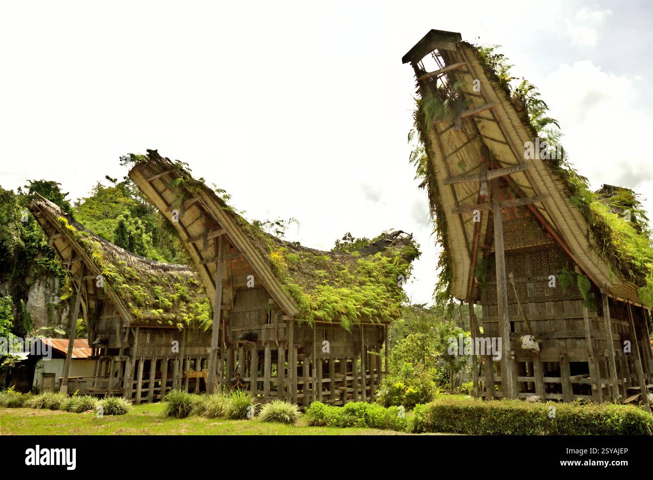 Rice barns in traditional tongkonan architecture in Kete Kesu village ...