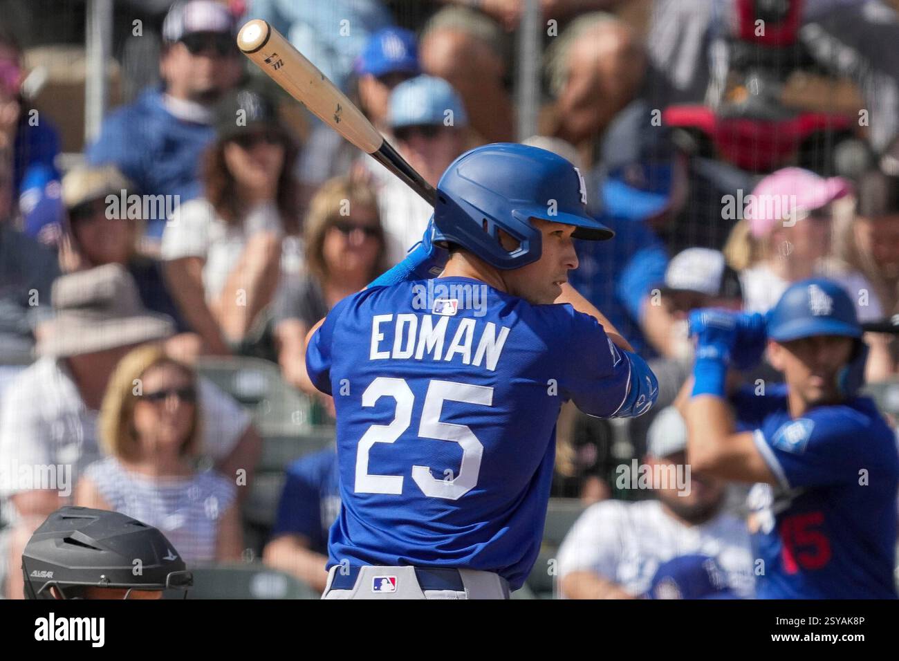 Los Angeles Dodgers outfielder Tommy Edman (25) bats during a spring ...