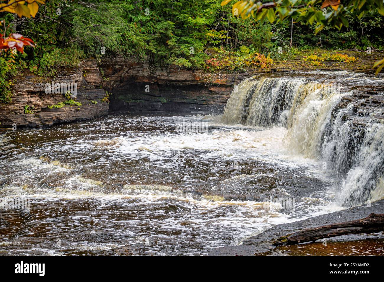 A breathtaking view of Tahquamenon Falls, one of Michigan’s most iconic ...