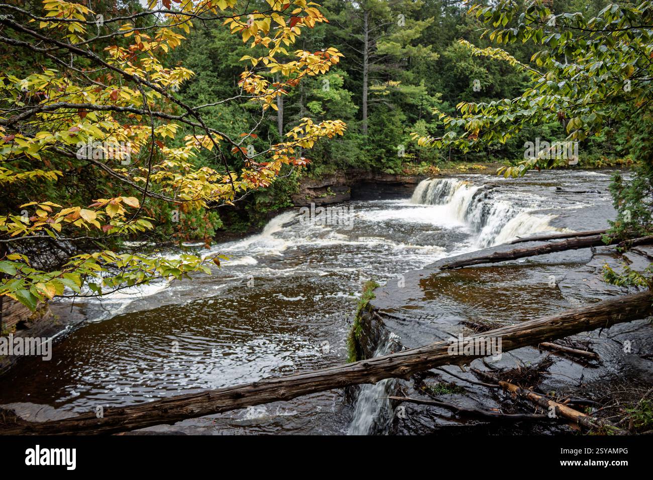 A breathtaking autumn scene at Tahquamenon Falls State Park in Michigan ...