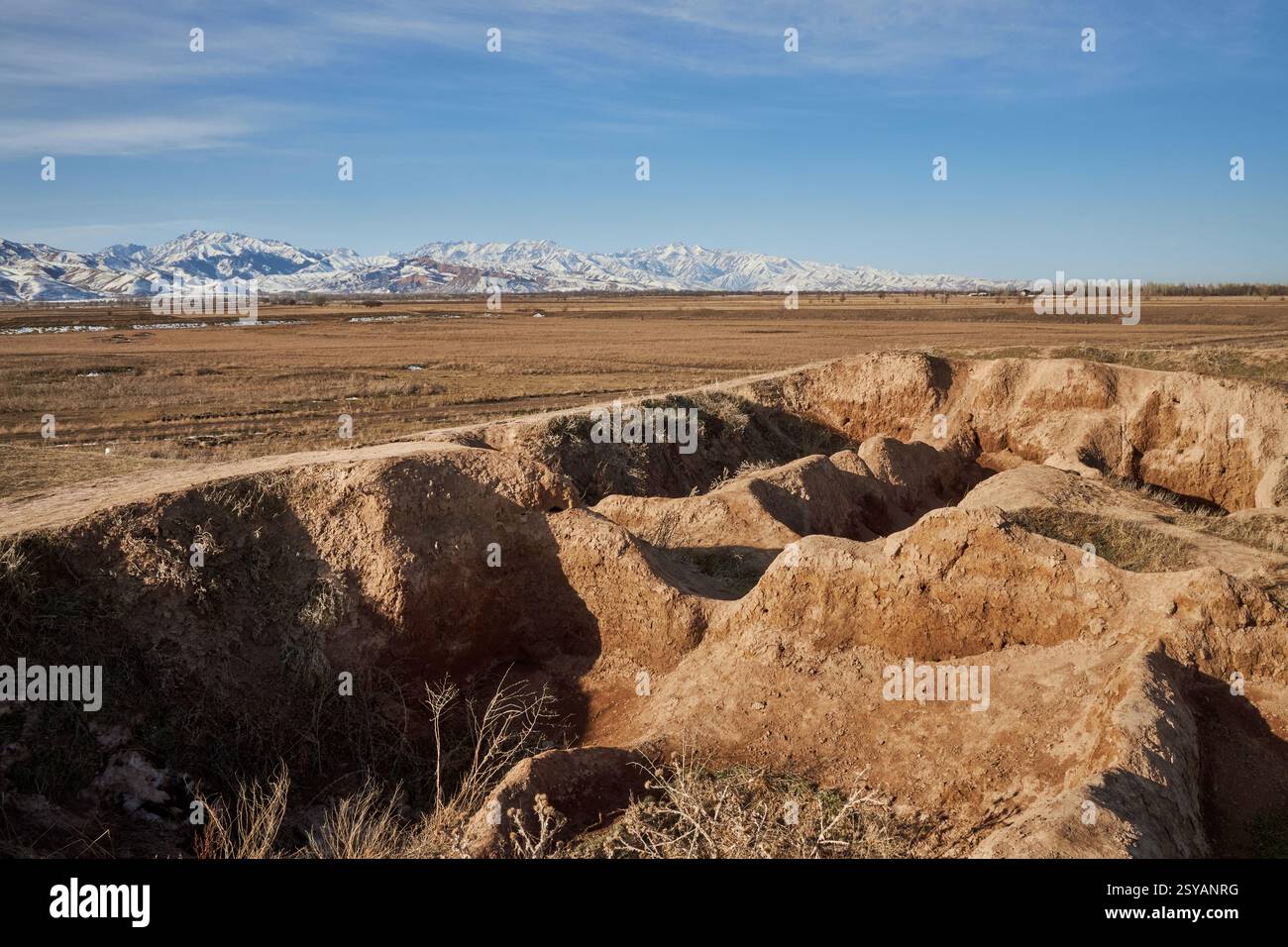Archaeological excavations of residential buildings and burials on the ...