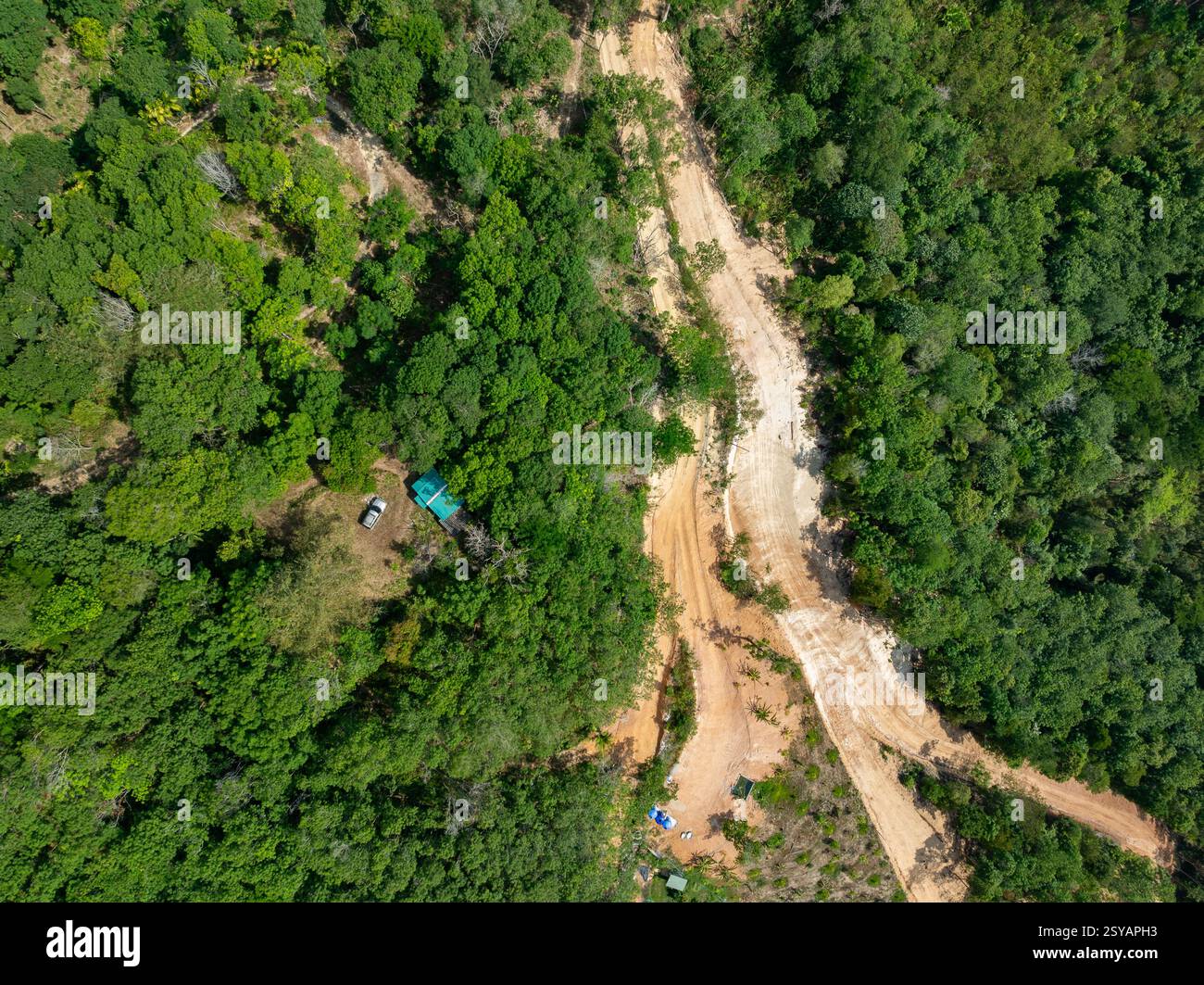 Deforestation aerial photo,Forest destroyed environmental damage from ...