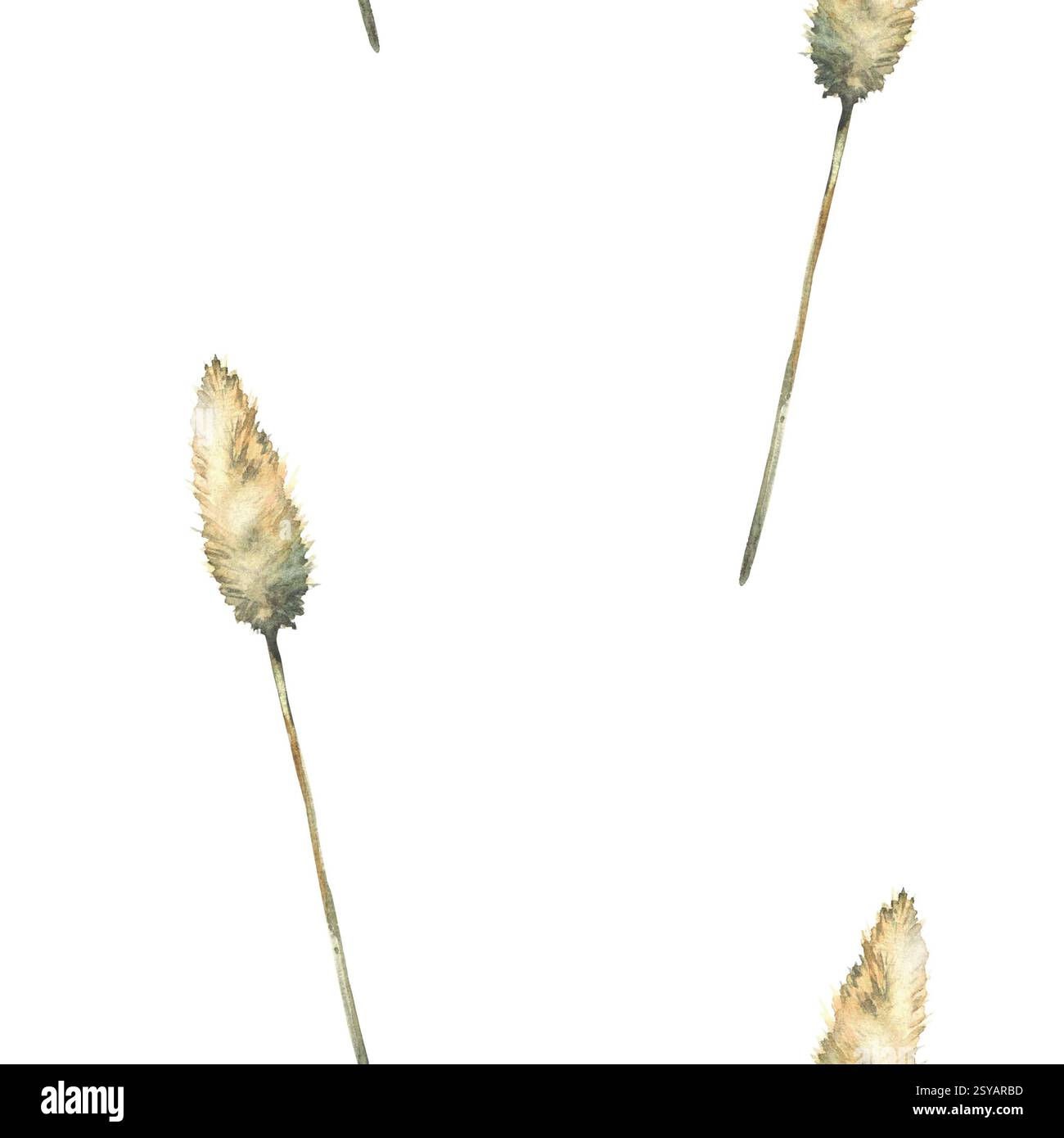 Pampas grass. Dry blade of grass. Boho floral cream coloured seamless ...