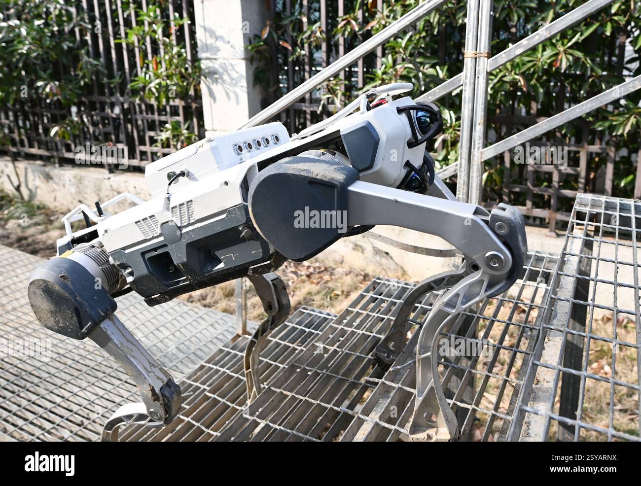 Quadruped robot showcasing climbing steps hi-res stock photography and ...