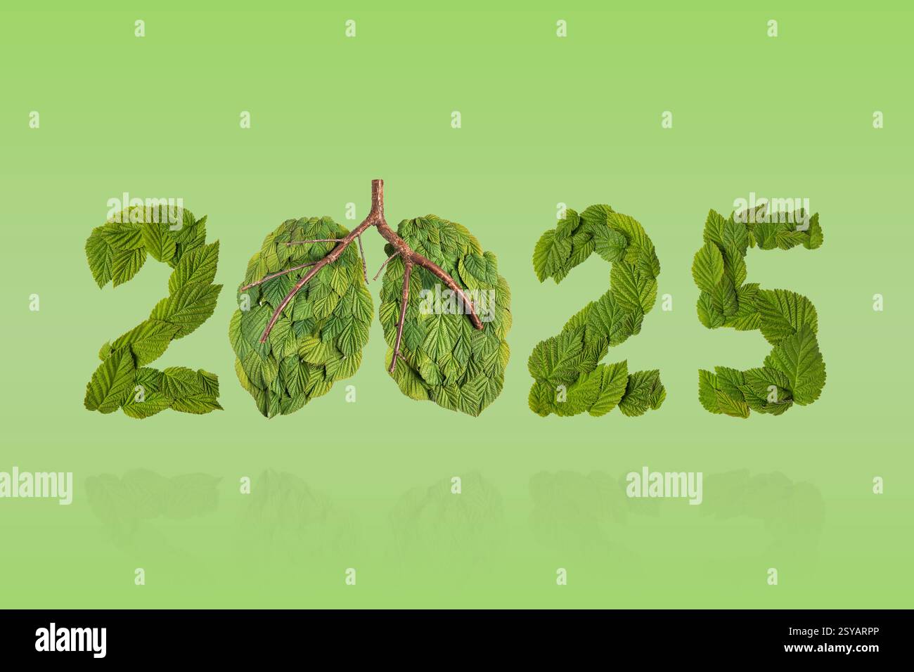 Green leaves in the shape of numbers 2025 and the lungs on a green ...