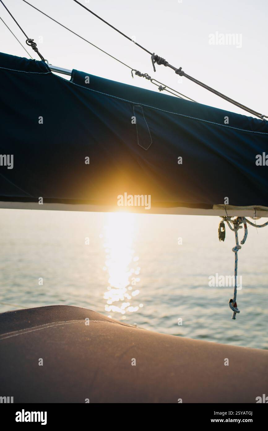 The warm afternoon sun reflects on the calm ocean, partially framed by ...