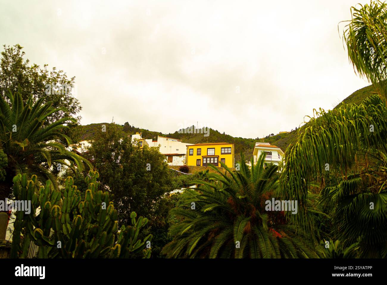 Garachico el teide hi-res stock photography and images - Alamy