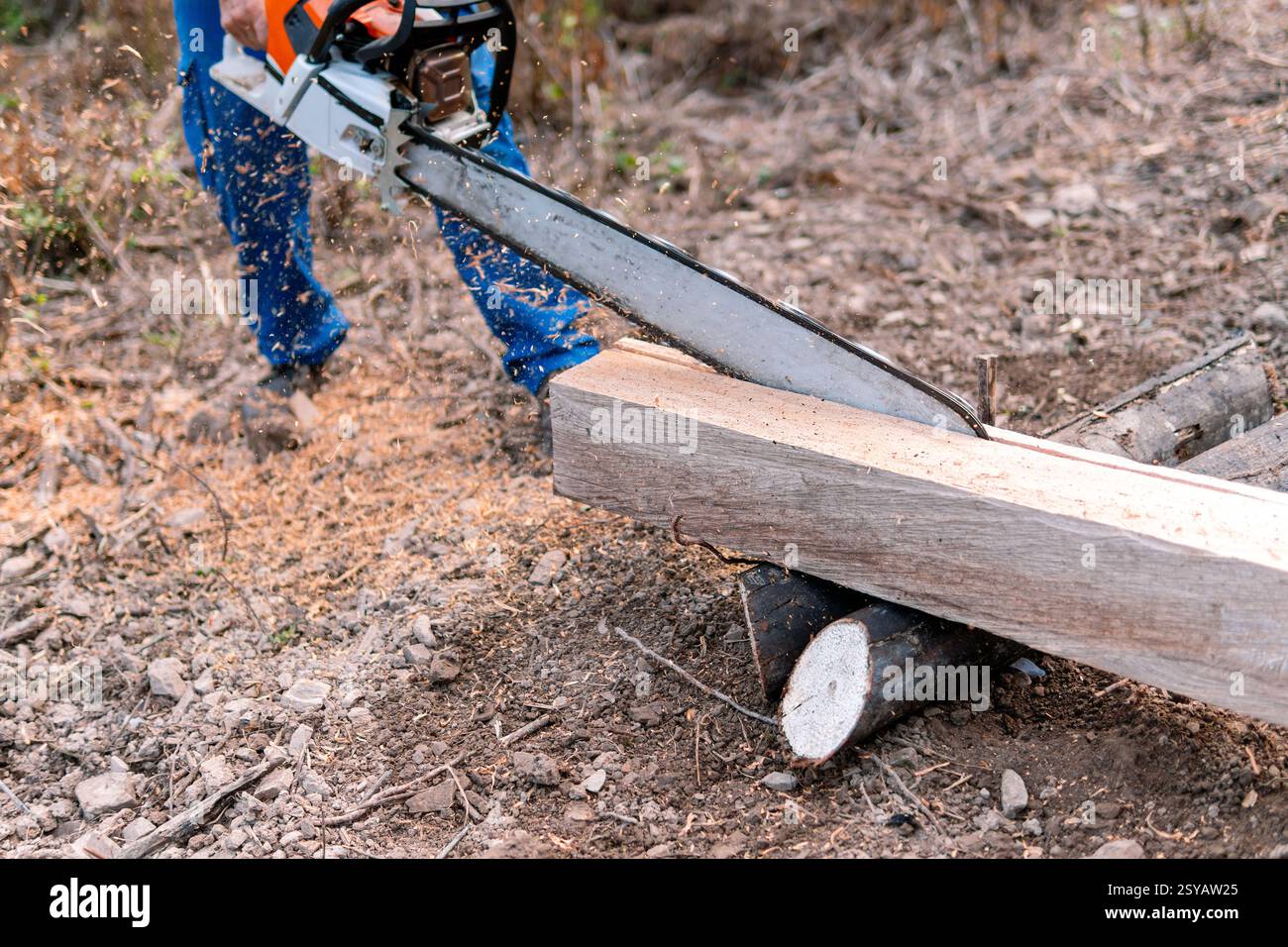 Cropped unrecognizable male farmer in Colombia sawing wood with a ...
