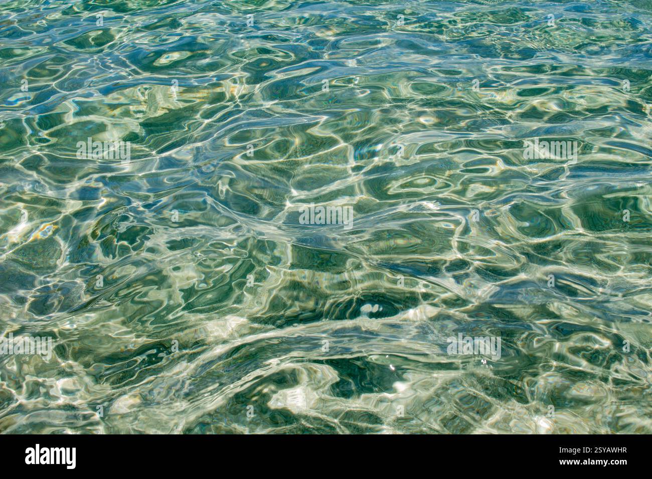 Sunlight creates dynamic reflections on crystal-clear water, revealing ...