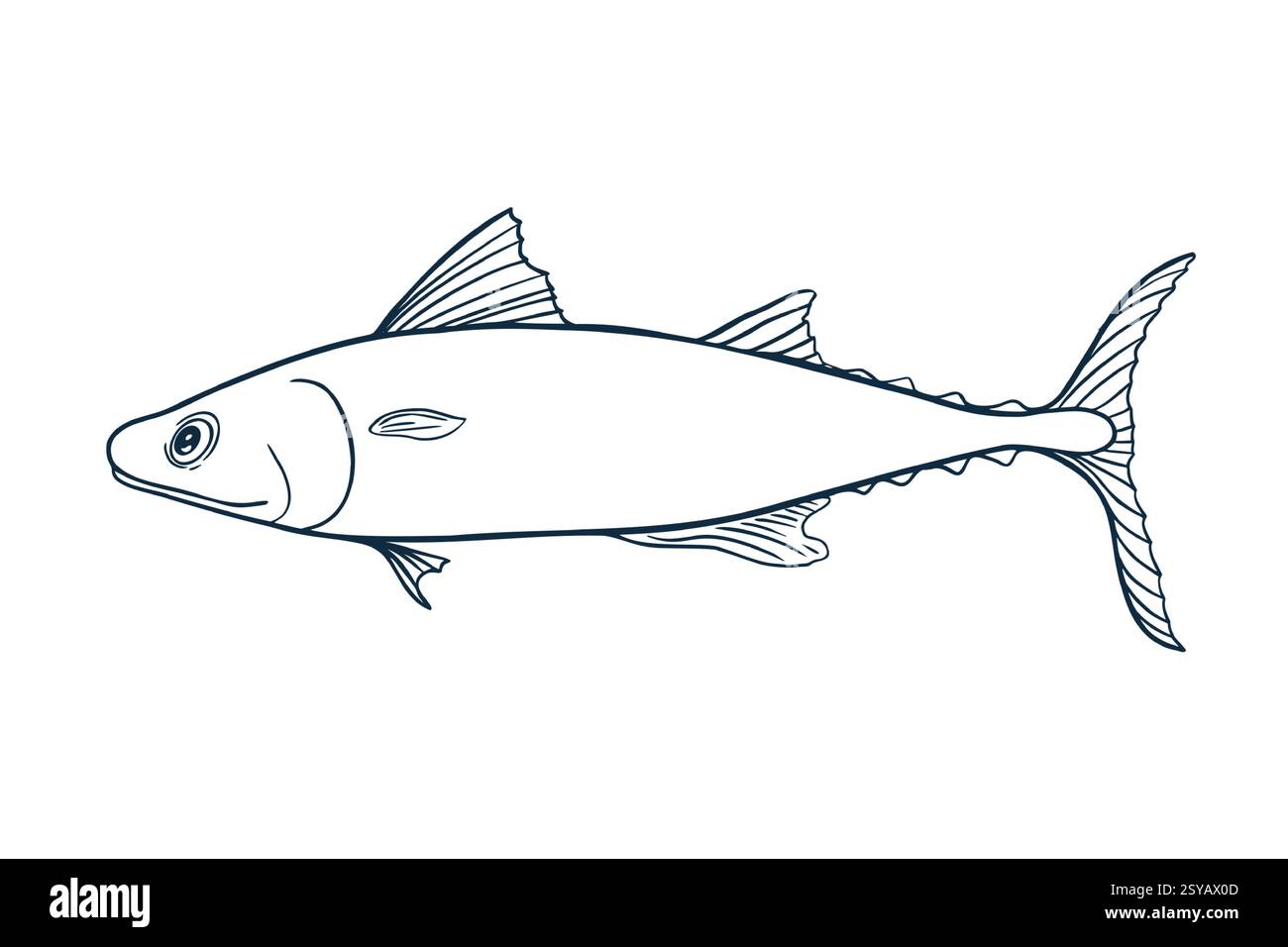Mackerel black white vector illustration. Wahoo sea fish sketch hand ...