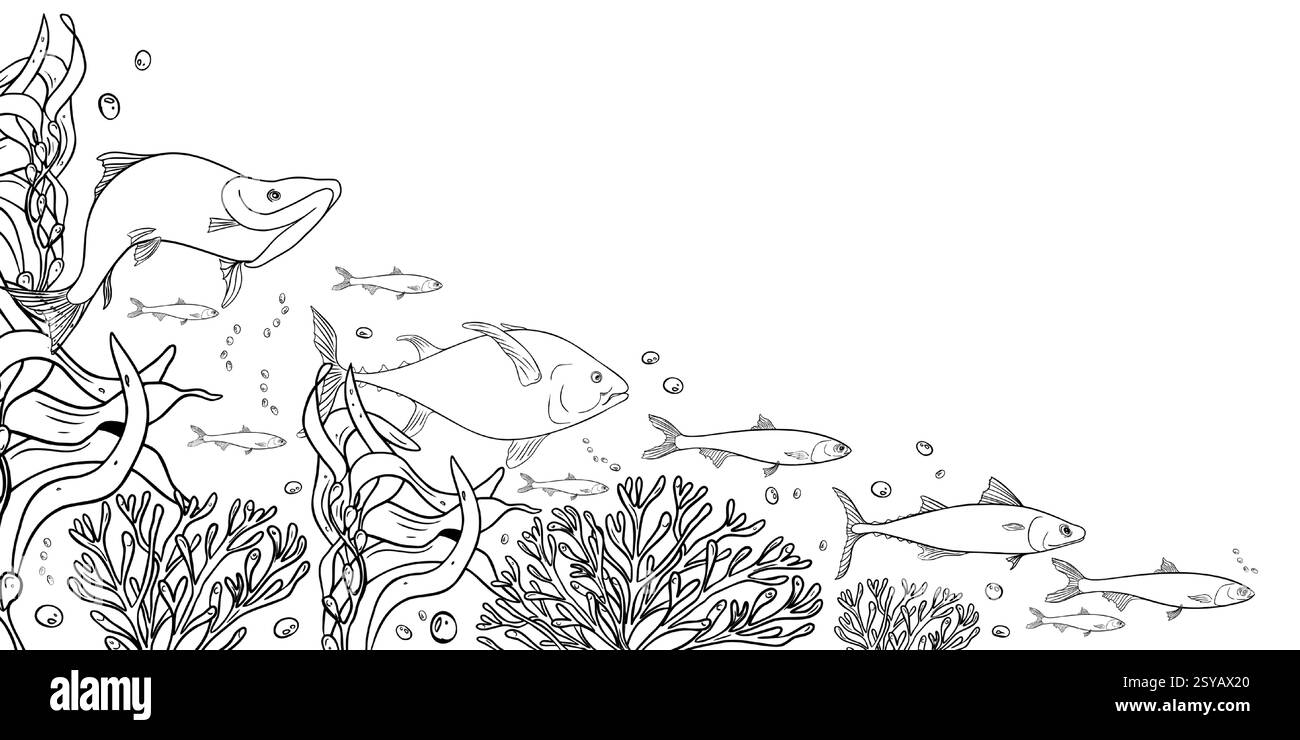 Underwater Fish school line art vector. Hand drawn marine life with sea ...