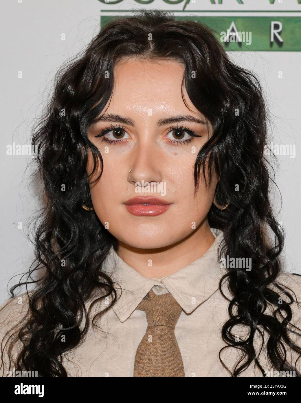 Los Angeles, California, USA. 27th Feb, 2025. Lenii. 19th Annual Oscar ...