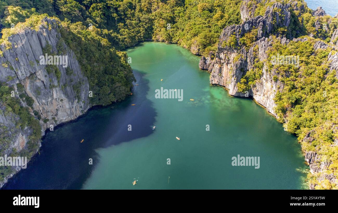 Aerial shot capturing tourists in kayaks exploring a vibrant green ...