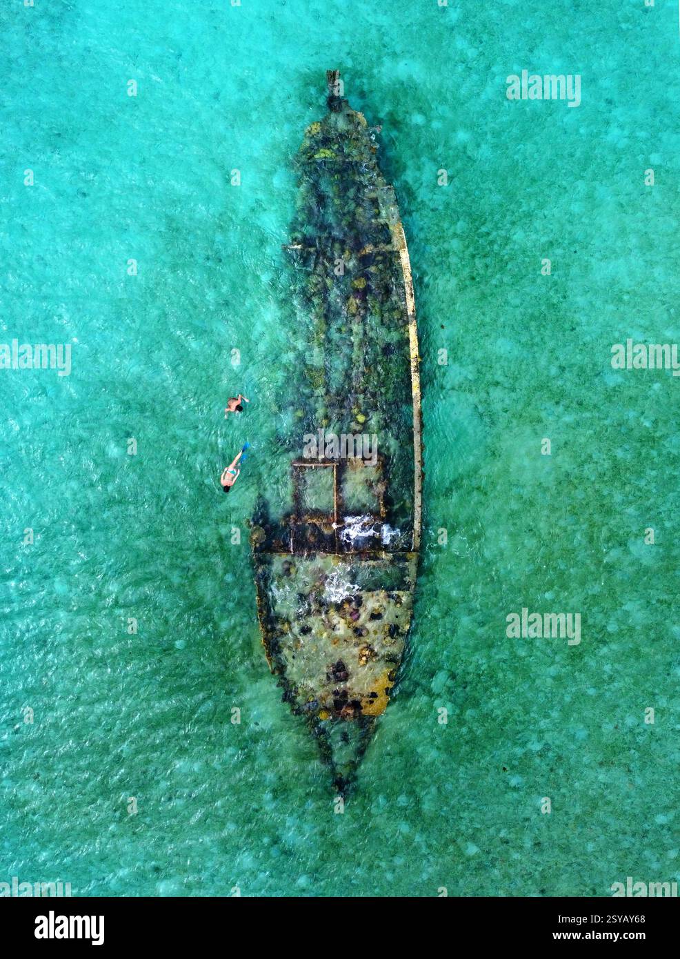 Aerial view of two unrecognizable people, swim around a moss-covered ...