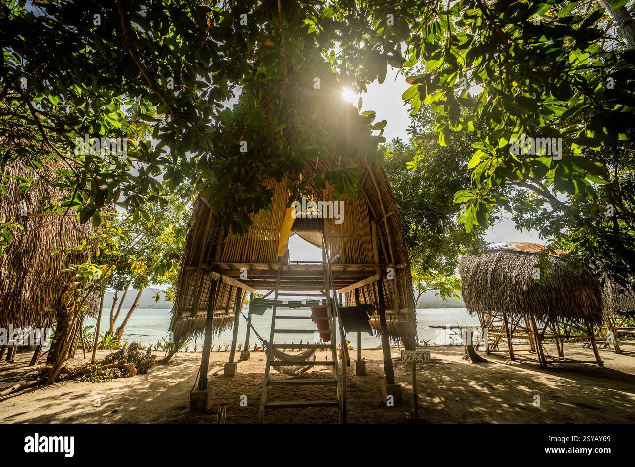 Traditional bamboo hut elevated on stilts, nestled among lush trees ...