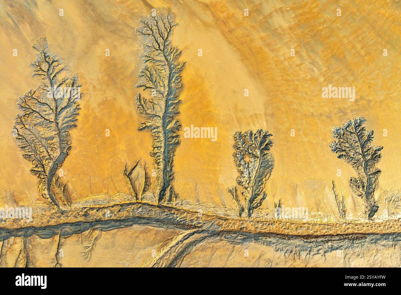 Explore intricate fractal patterns in natural mud textures, displaying ...