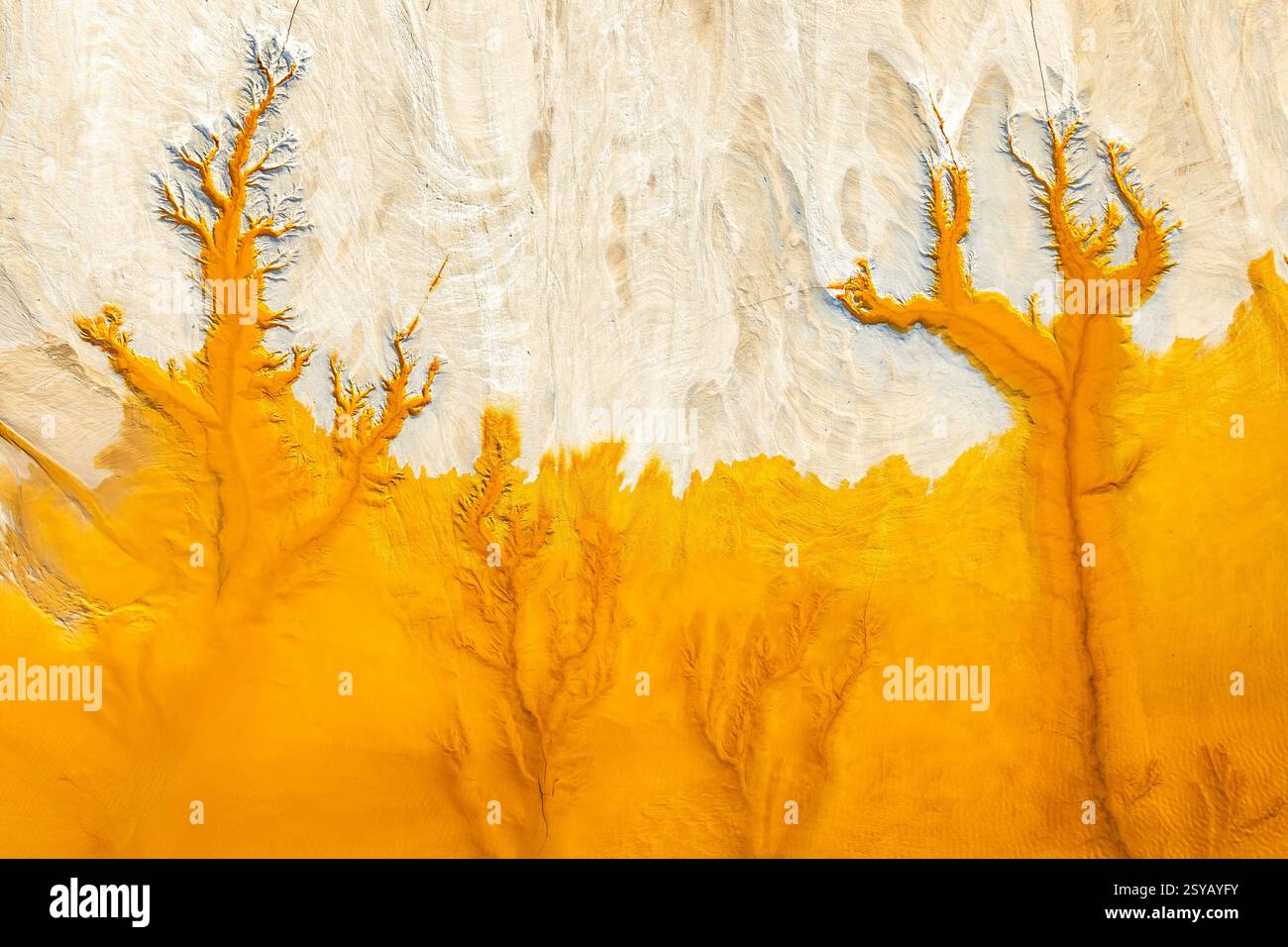 Aerial view of fractal mud textures showcasing vibrant orange patterns ...