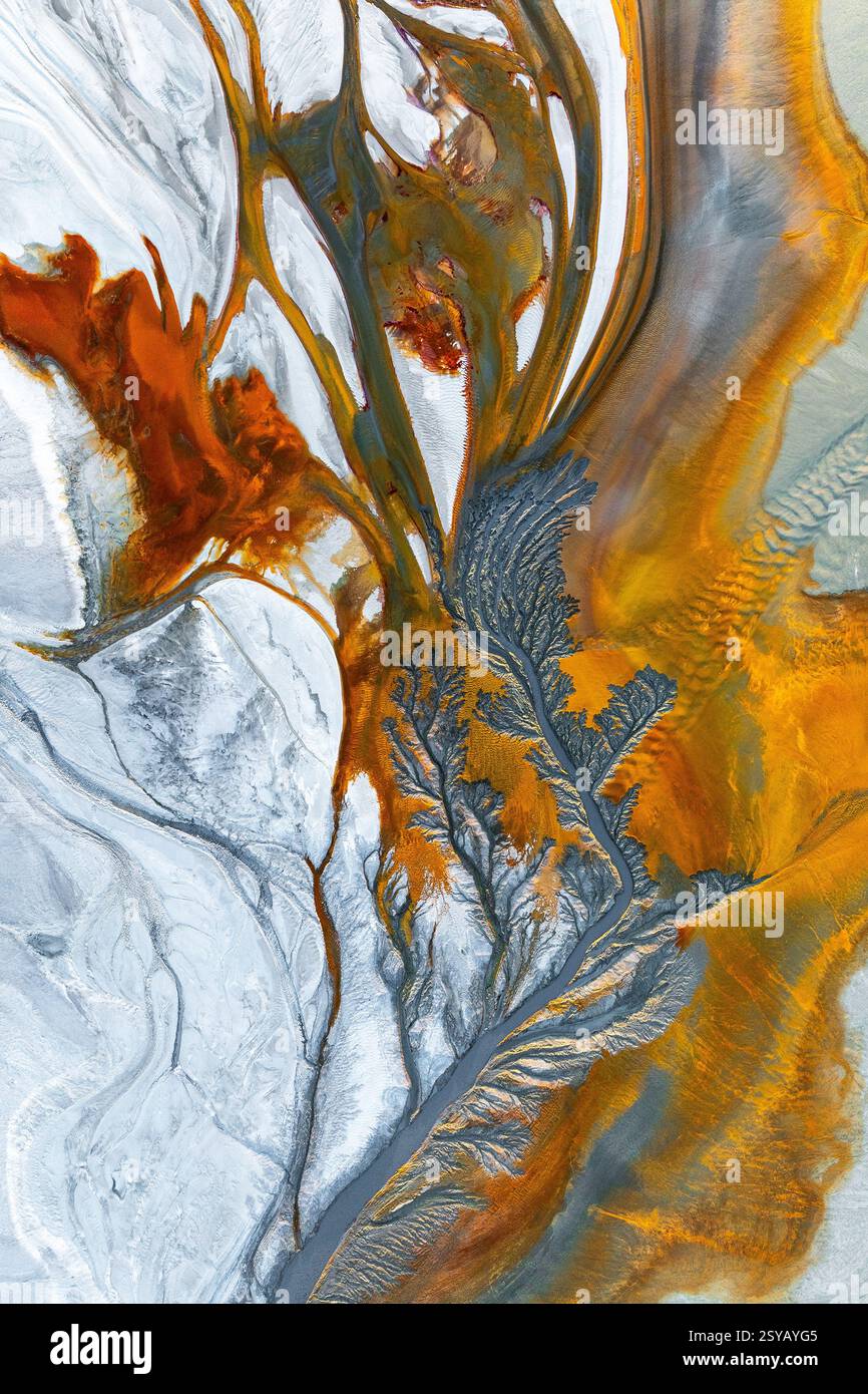 Intricate fractal patterns of vibrant mud textures create a stunning ...