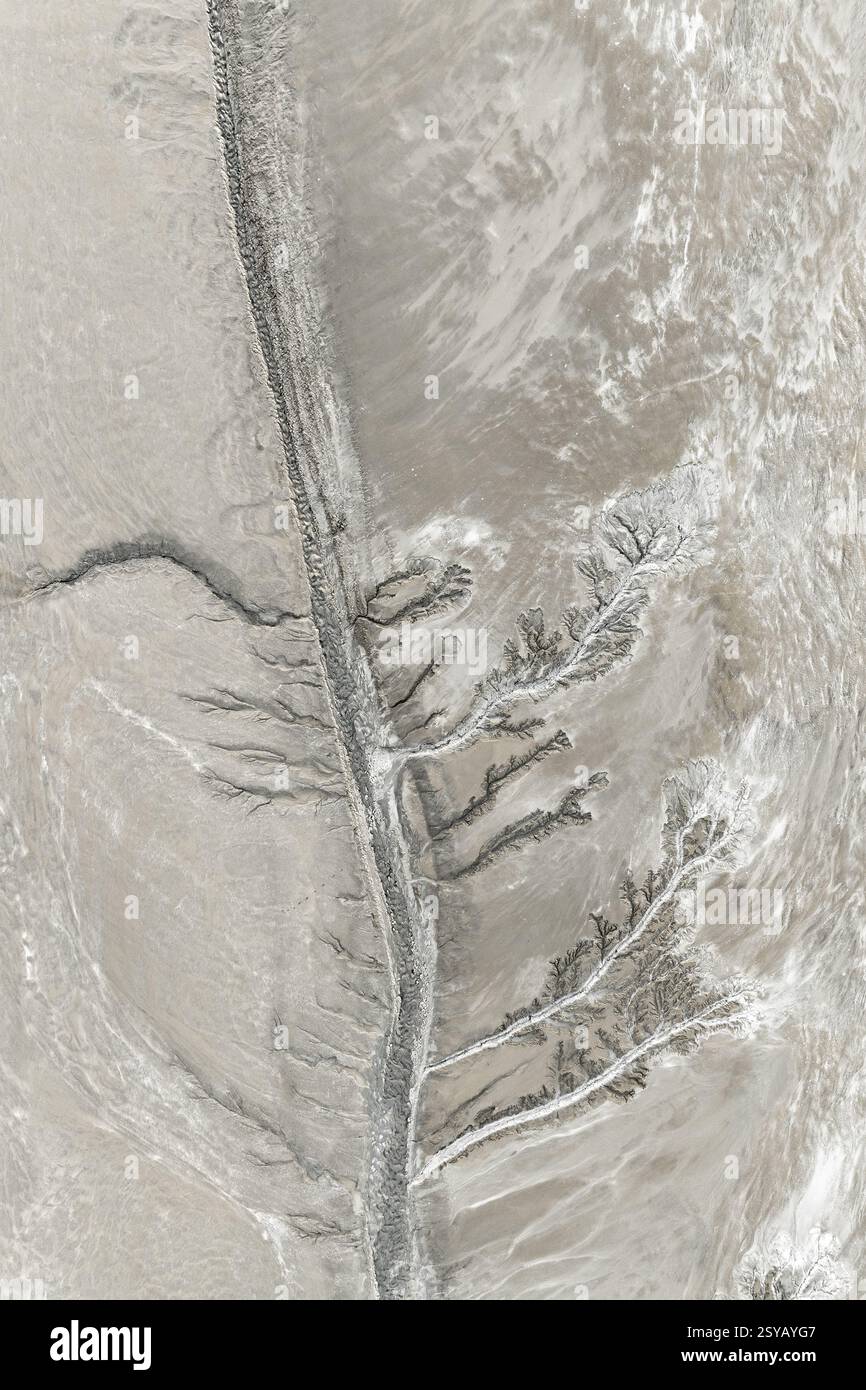 Aerial View Of Fractal Mud Patterns Resembling A Tree With Branching