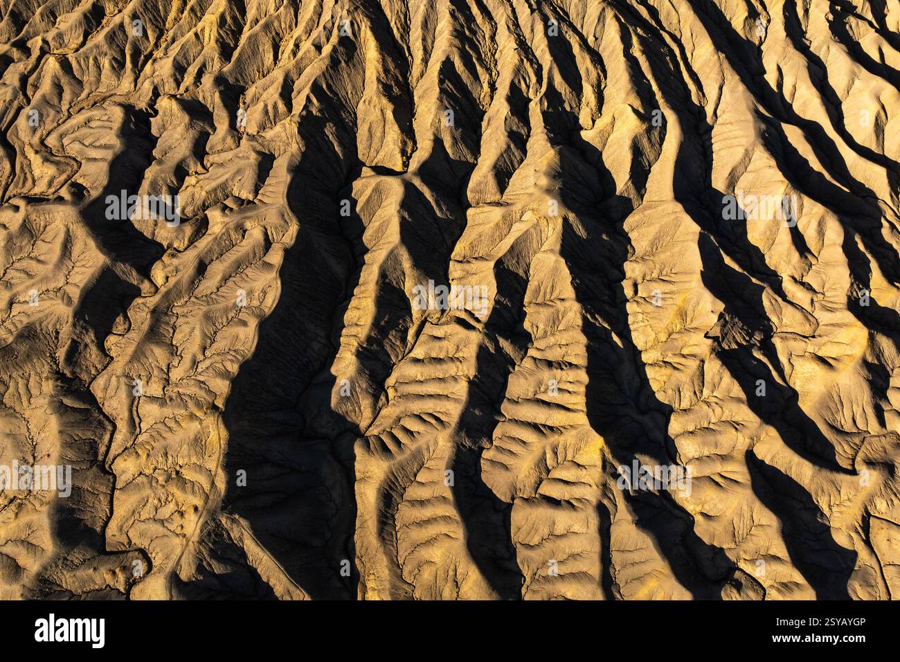 Aerial view of golden desert textures at Caineville Mesa, Utah ...