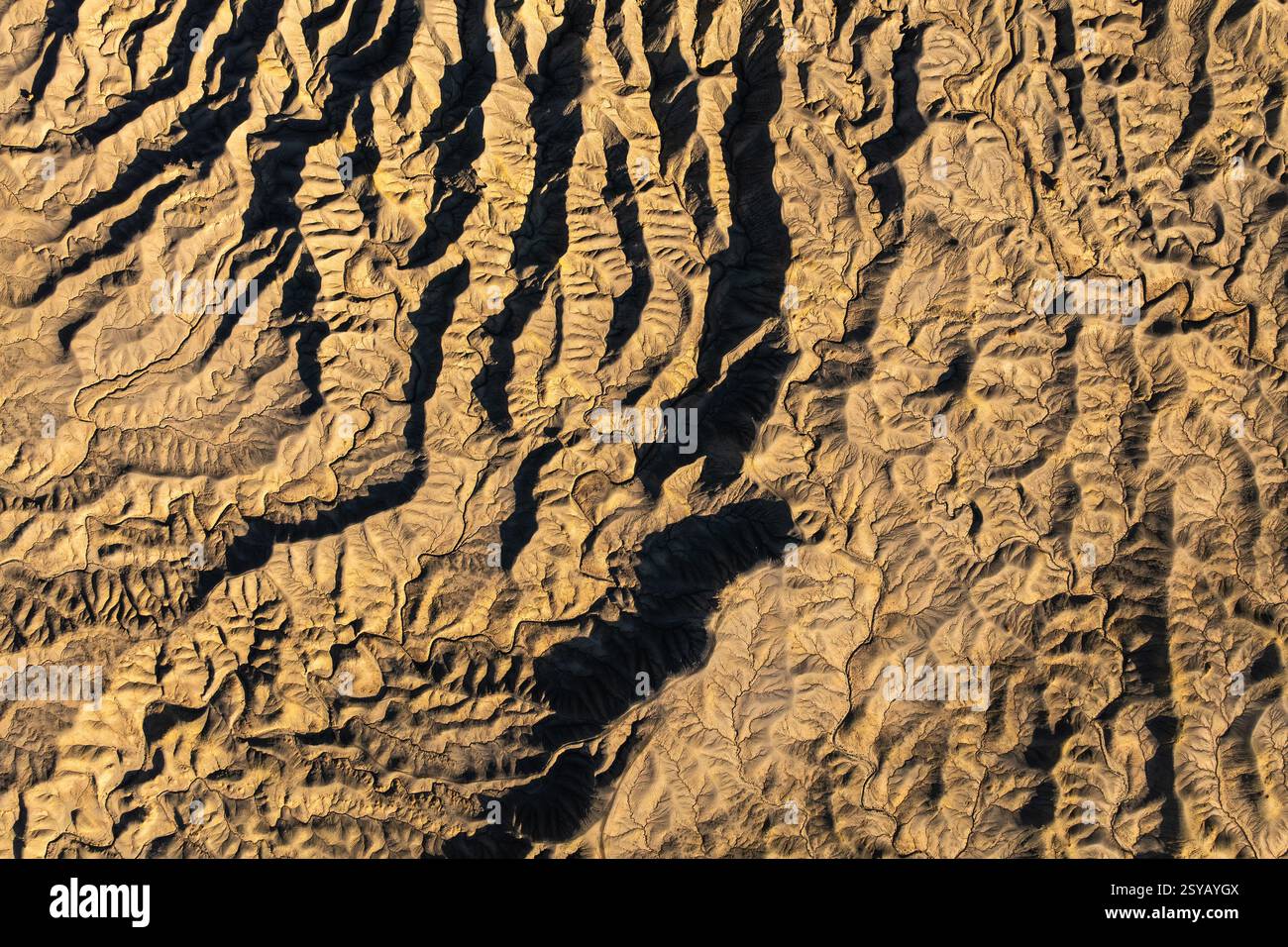 Aerial photograph showcasing intricate golden desert textures at ...