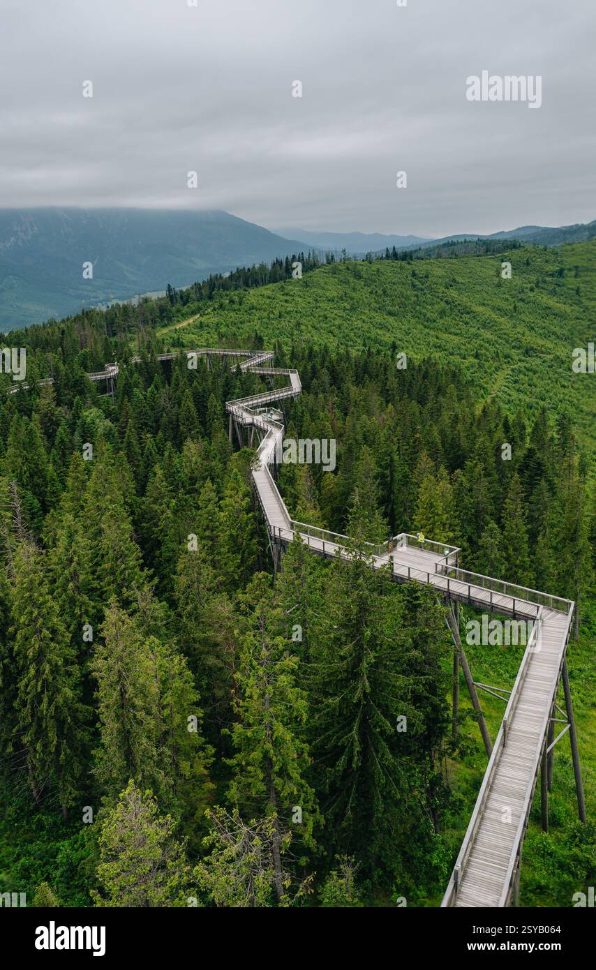 An aerial view of an elevated wooden walkway meanders through lush ...