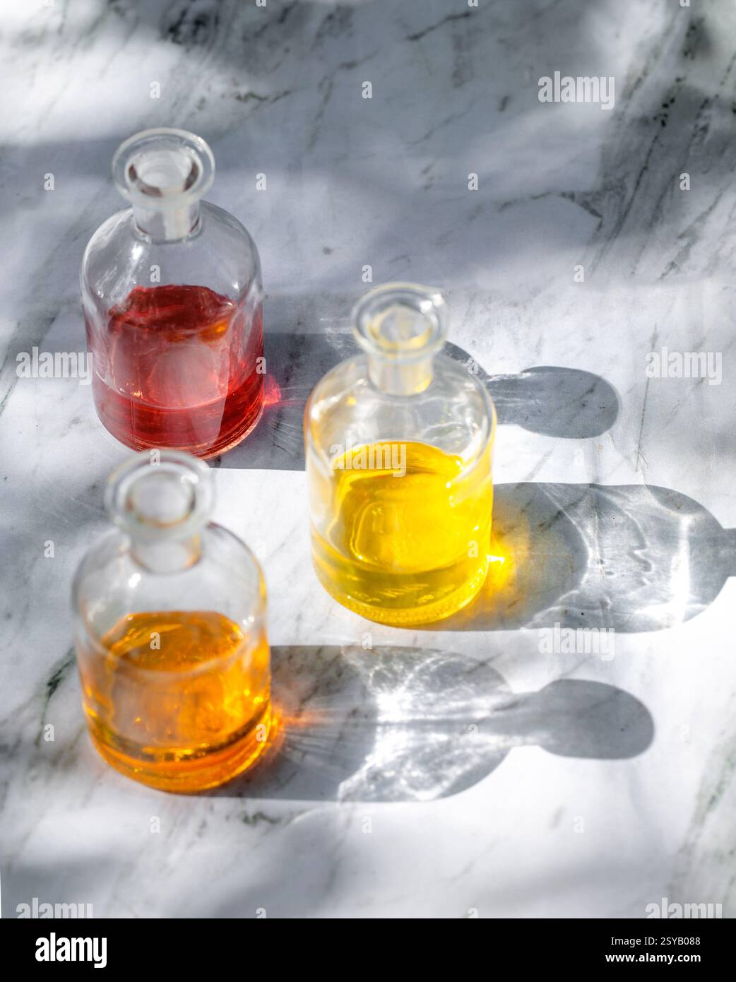 Overhead view of natural body oils infused with plants like calendula ...