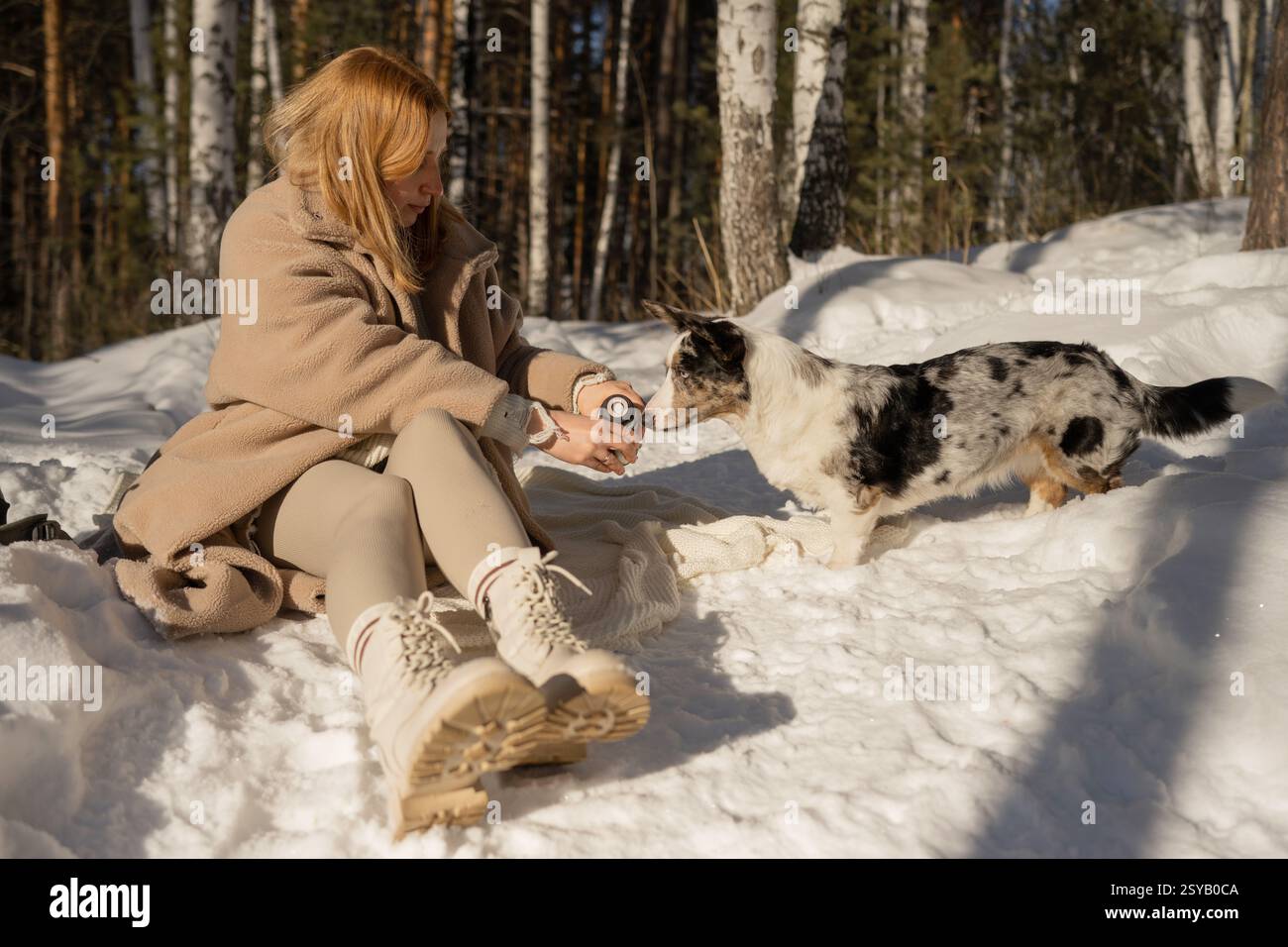 A woman in a beige coat shares a moment with her Border Collie dog ...