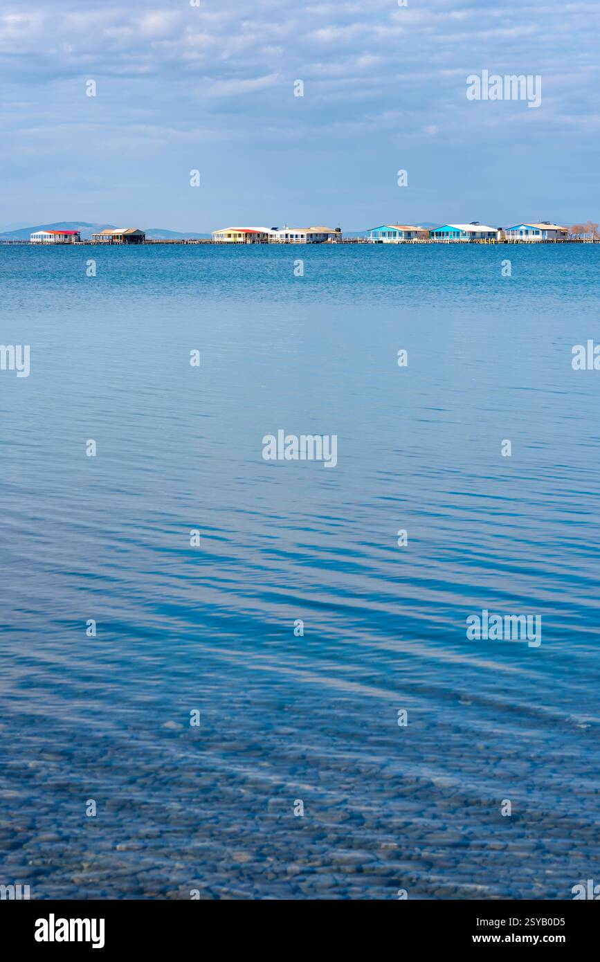 Torulida missol hi-res stock photography and images - Alamy
