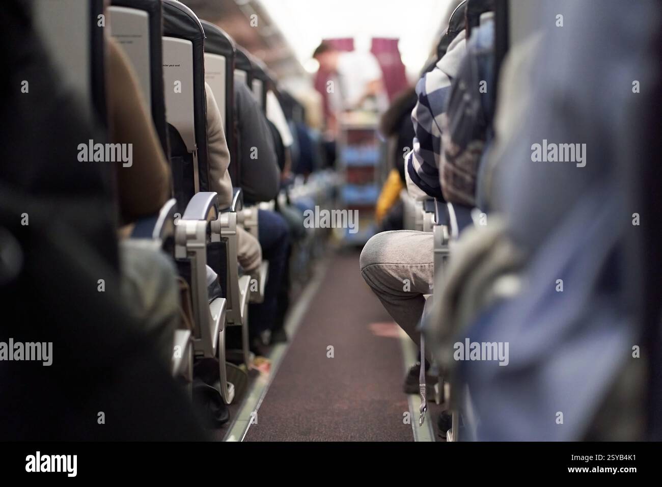 A male steward who distributes food and drinks on board the aircraft ...
