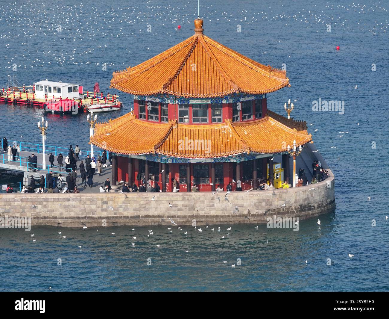 Tourists watch seagulls at Zhanqiao Pier scenice area in Qingdao City ...