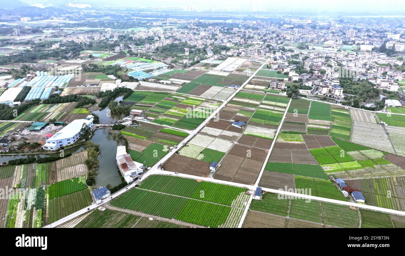 FUZHOU, CHINA - FEBRUARY 28, 2025 - Farmers work in a field at a ...