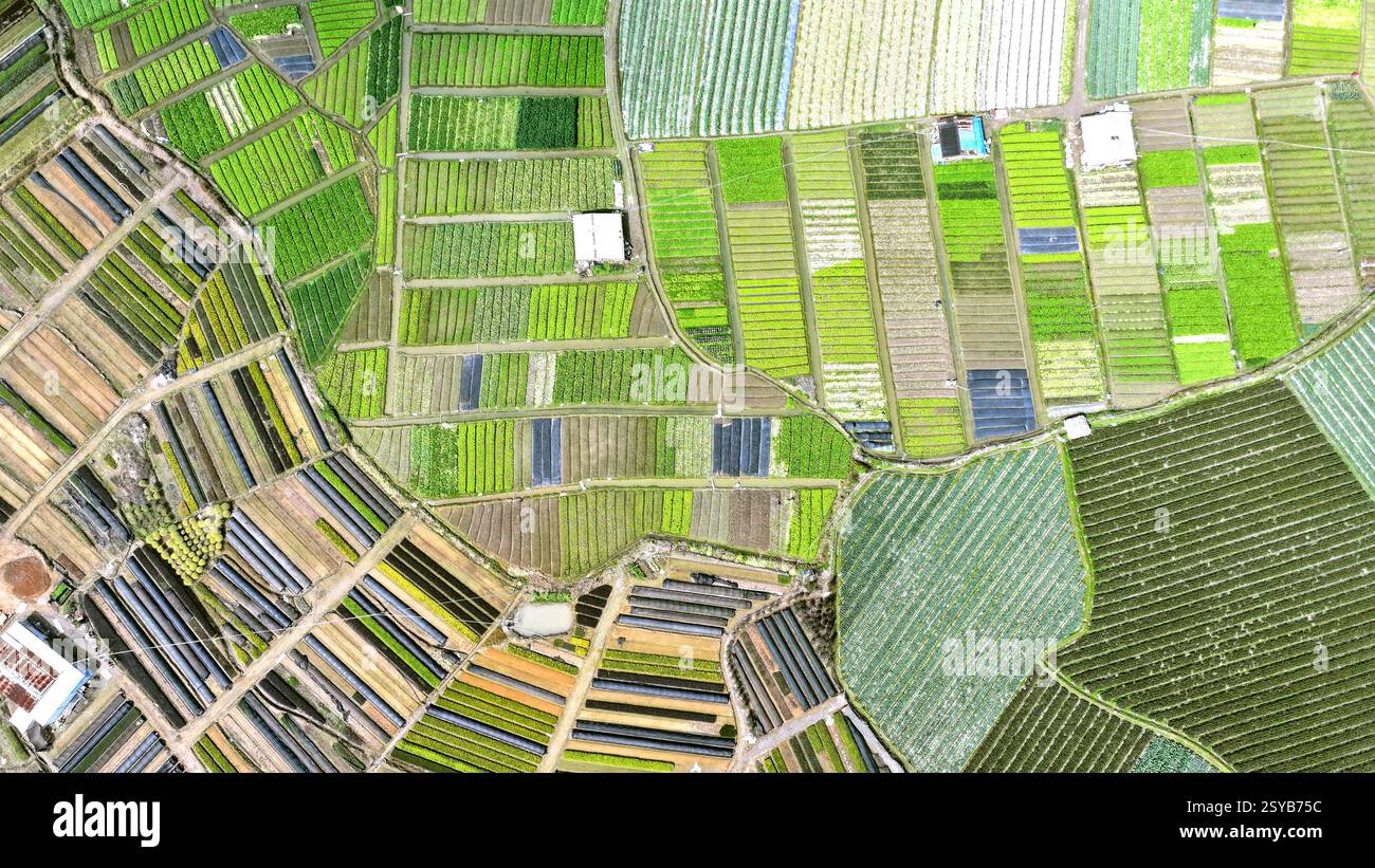 FUZHOU, CHINA - FEBRUARY 28, 2025 - Farmers work in a field at a ...