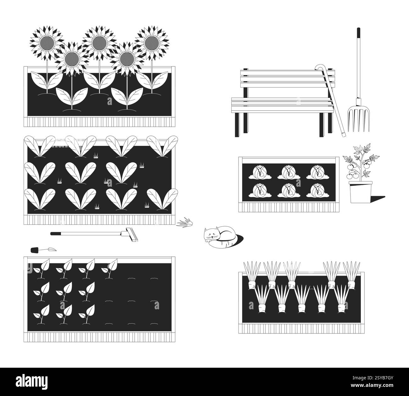 Community garden with raised beds outline illustration Stock Vector ...