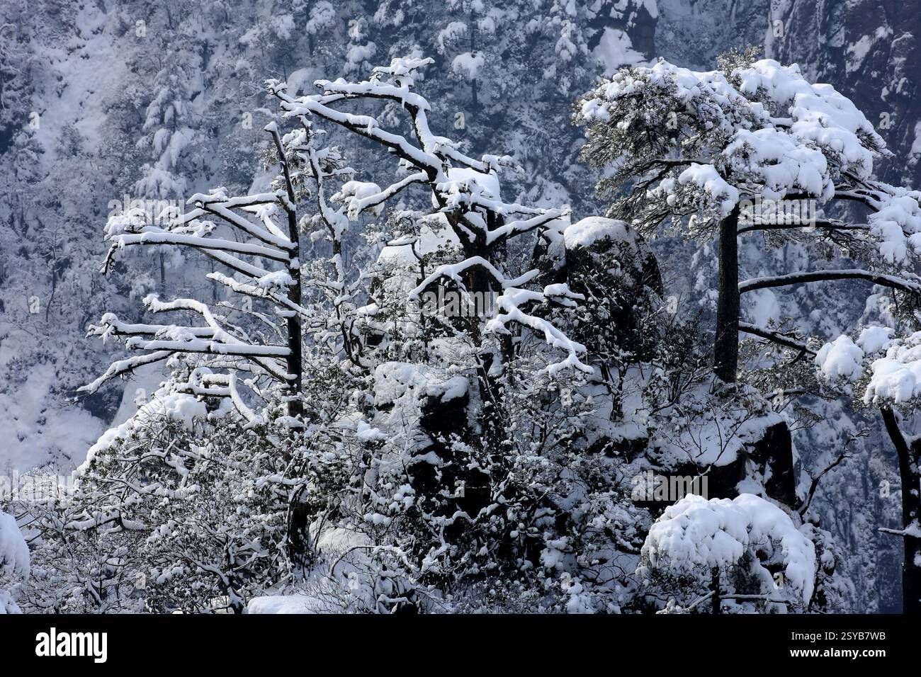 Early spring scenery of the snow-covered Yellow Mountain in Huangshan ...