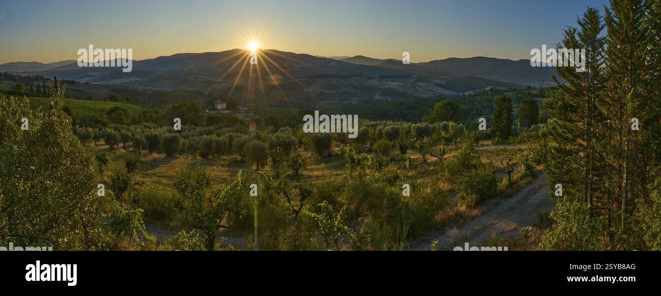 Tuscan landscape at sunrise, country estate with vineyards, forests amd ...