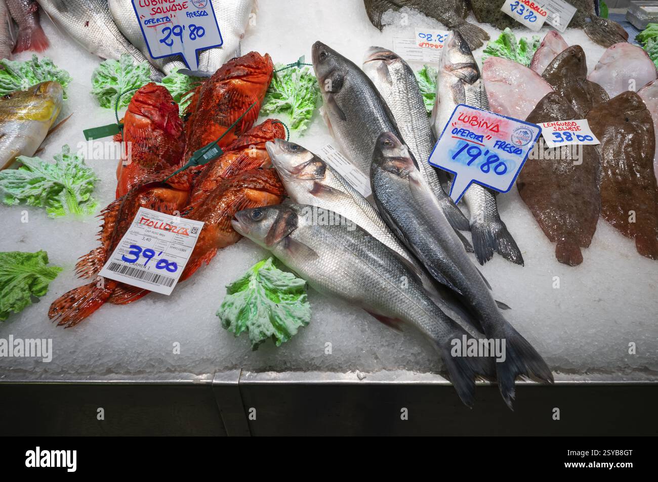 Display sea bass, red snapper, sole, fish, fishmonger, interior, indoor ...