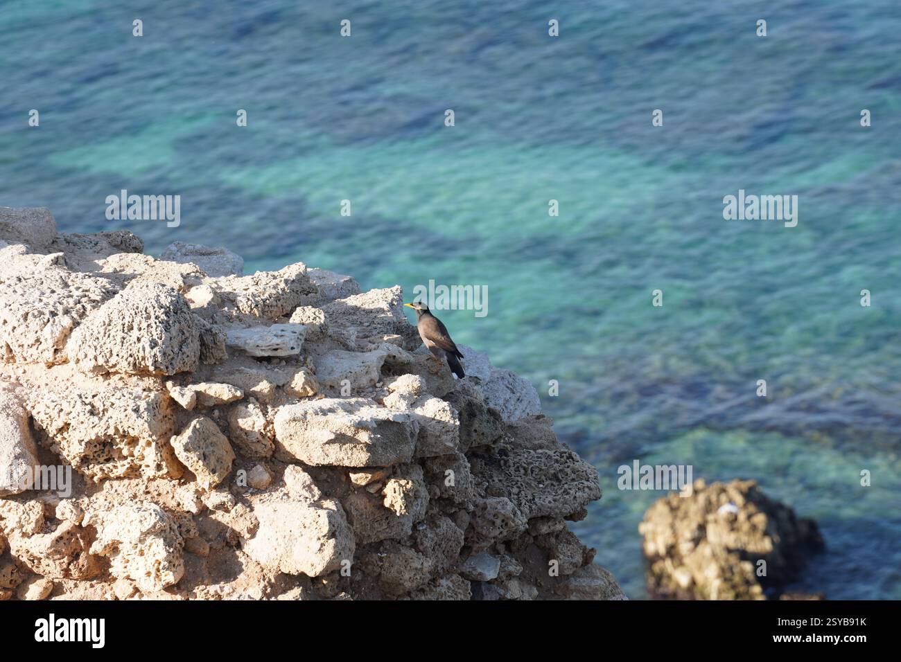 Scenic spring view of the Apollonia National Park (Tel Arsuf) and ...