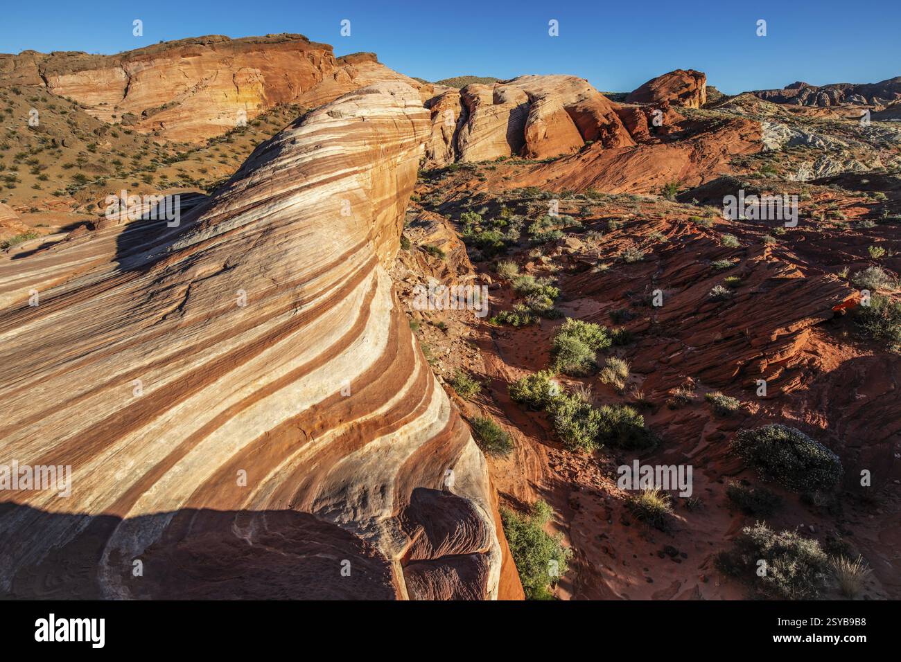 Hikers on the Fire Wave, Valley of Fire State Park, Nevada, USA, North America Stock Photo - Alamy